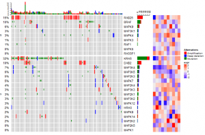 利用ComplexHeatmap绘制复杂热图 - Omics - Hunter
