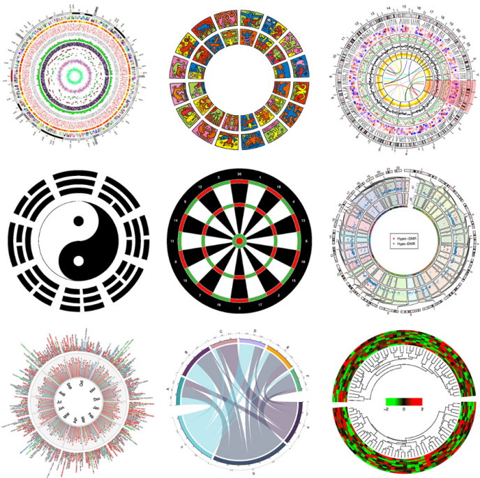 R绘制CIRCOS图介绍 - Omics - Hunter