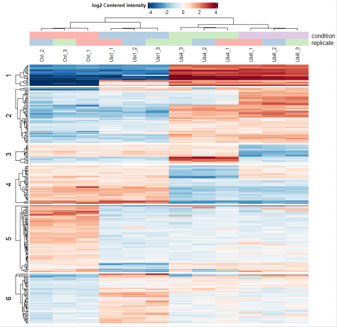 蛋白质组数据的差异分析-DEP(R 包) - Omics - Hunter