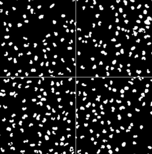 EBImage-生命科学图片处理神器 - Omics - Hunter