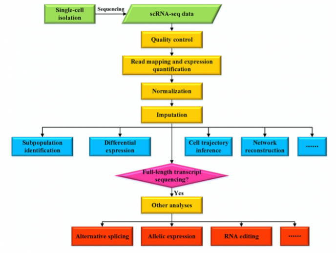 单细胞转录组测序介绍-Smart-Seq2 - Omics - Hunter