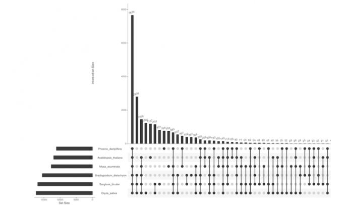 R 多数据集可视化工具-UpSetR - Omics - Hunter