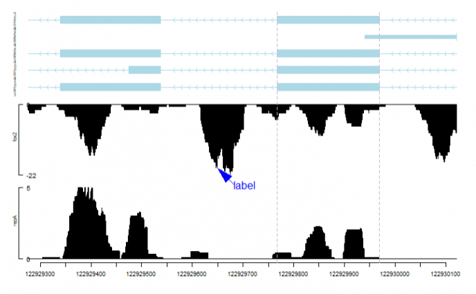 R 基因突变位点可视化-trackViewer - Omics - Hunter