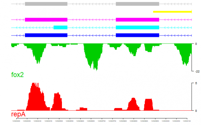 R 基因突变位点可视化-trackViewer - Omics - Hunter