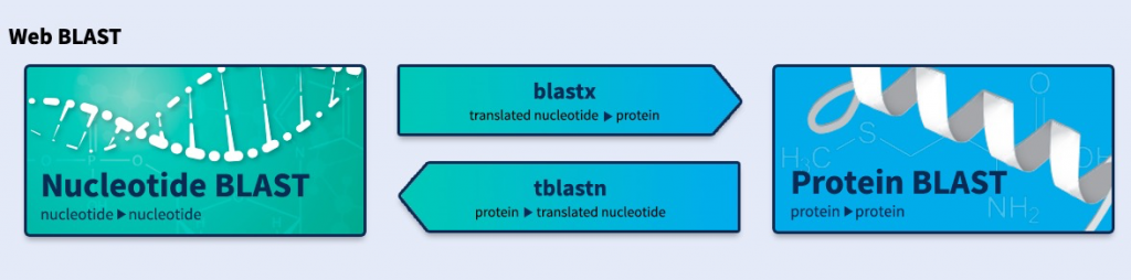 序列查找比对工具-NCBI Blast+ - Omics - Hunter