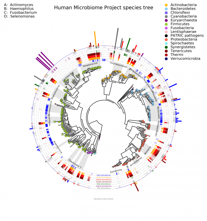 进化树可视化工具-GraPhlAn - Omics - Hunter