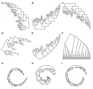R 绘制进化树工具-ggtree - Omics - Hunter