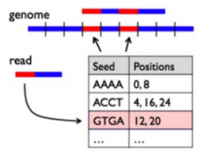 序列比对软件介绍-BWA - Omics - Hunter