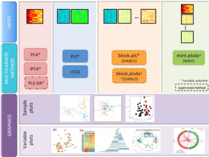 R 多组学分析及可视化-mixOmics - Omics - Hunter