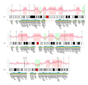 R 基因组可视化必备-karyoploteR - Omics - Hunter