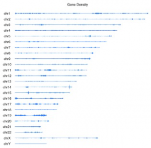 R 基因组可视化必备-karyoploteR - Omics - Hunter