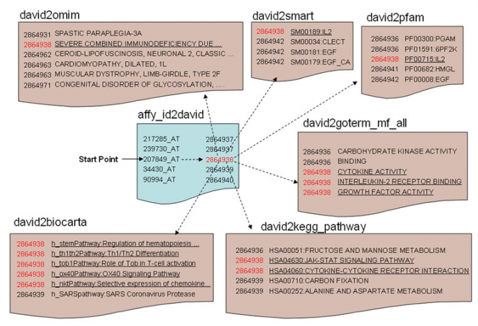 DAVID Knowledgebase-知识库介绍 - Omics - Hunter