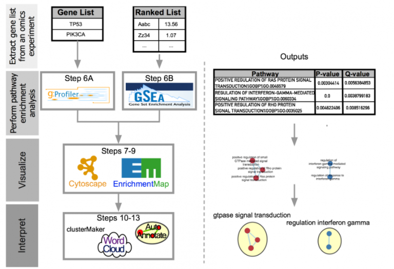 Cytoscape: Enrichment Map学习资料 - Omics - Hunter
