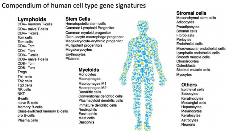 免疫浸润分析工具-xCell - Omics - Hunter