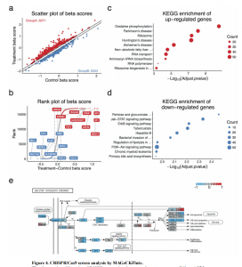 CRISPR/Case9全基因组敲除文库筛选功能基因分析流程 - Omics - Hunter
