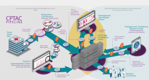 CPTAC数据库介绍及简单使用 - Omics - Hunter