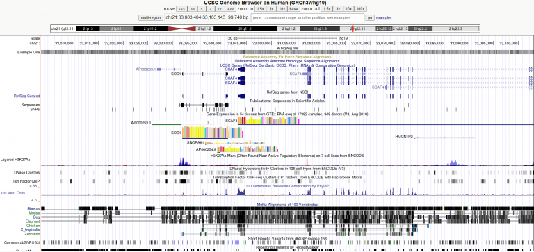 基因组浏览器(UCSC Genome Browser)-bigwig文件可视化操作步骤 - Omics - Hunter
