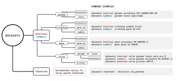 NCBI Datasets使用说明 - Omics - Hunter
