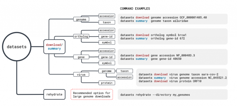 NCBI Datasets使用说明 - Omics - Hunter