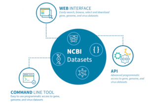 NCBI Datasets使用说明 - Omics - Hunter