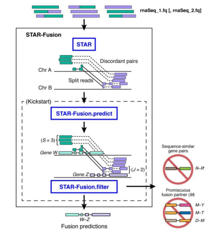 融合基因分析-STAR-Fusion - Omics - Hunter
