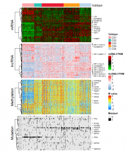 多组学数据挖掘-R包MOVICS - Omics - Hunter