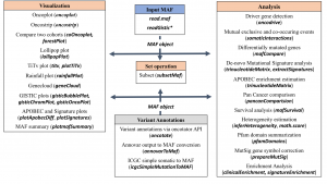 基因组：MAF文件分析及可视化-maftools - Omics - Hunter